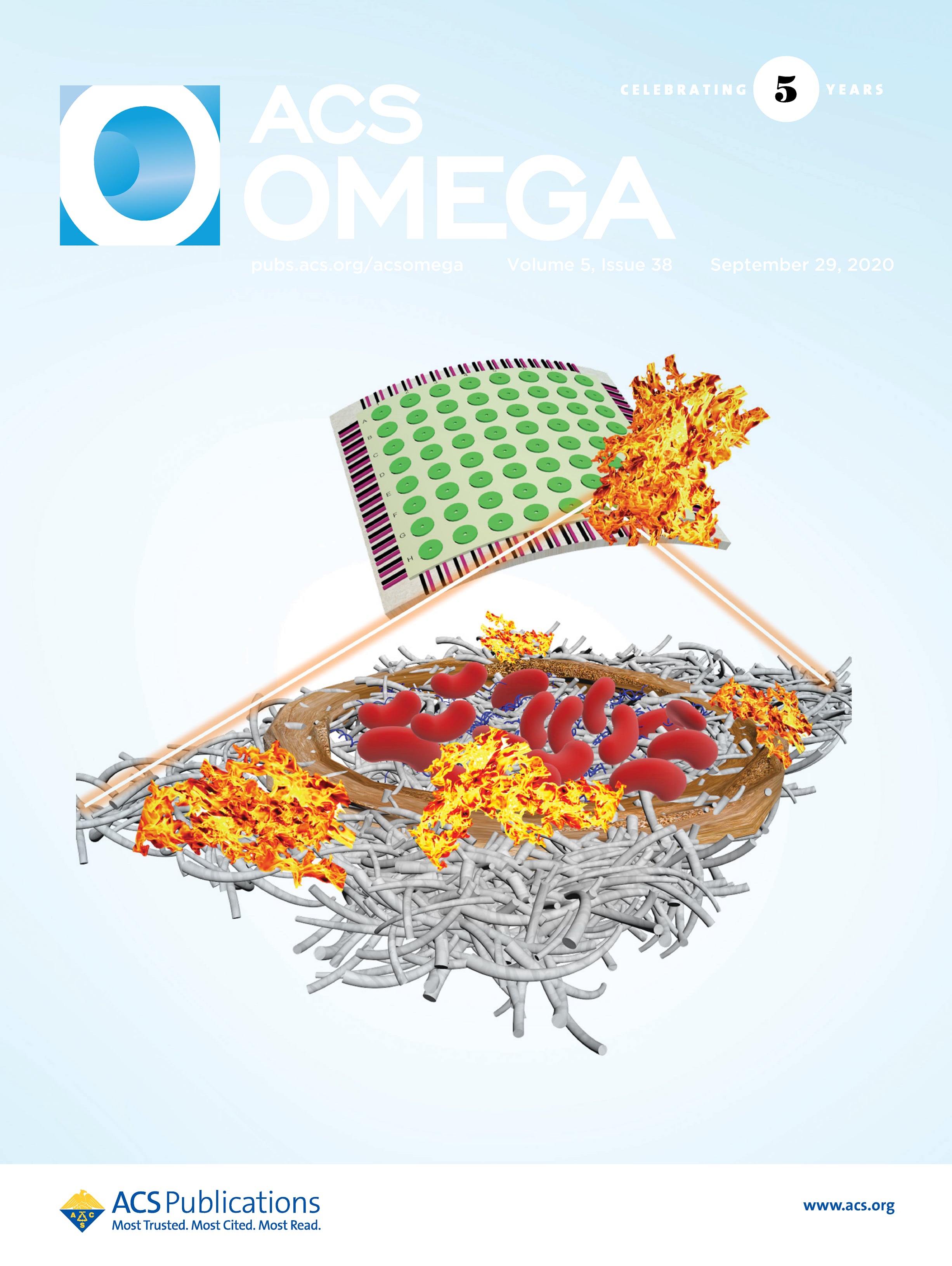 Publications - Bioelectronics & Microsystems Laboratory | Binghamton ...